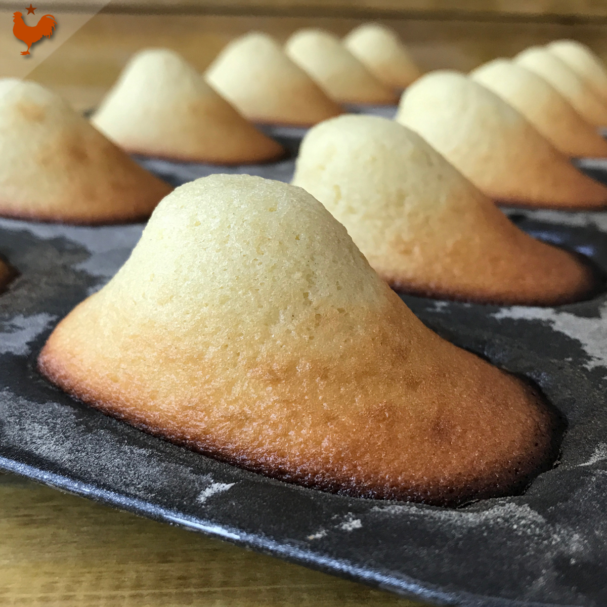 Recette madeleine au Compact Cook Elite - Spécial Gastronomie