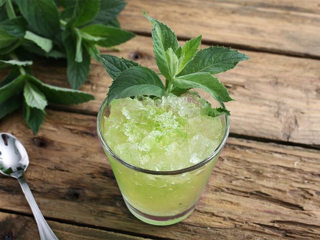 Fabriquez votre sirop de menthe maison ! - Spécial Gastronomie