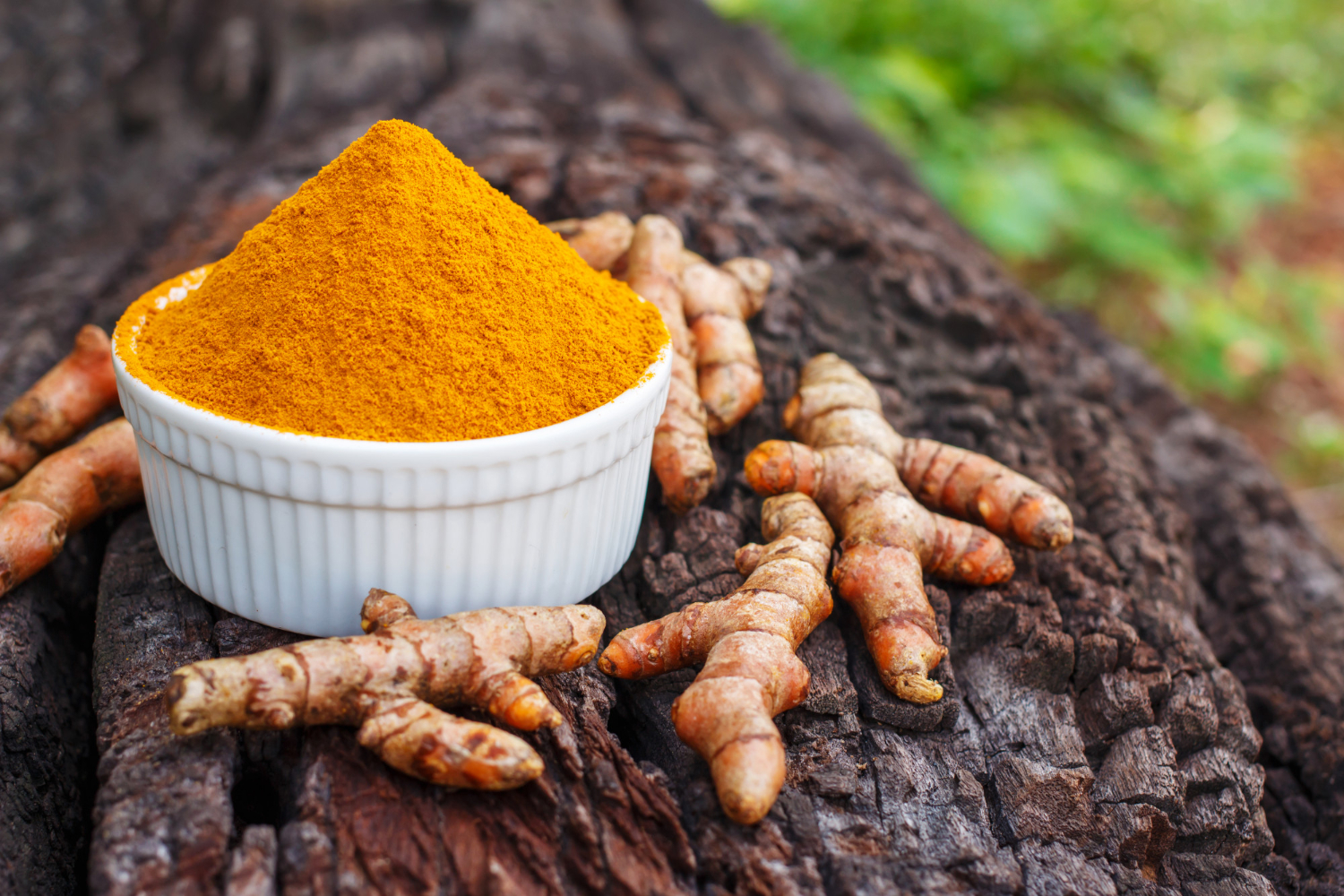 Le curcuma : un allié santé et culinaire - Spécial Gastronomie